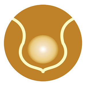 Soul Body Fusion | lichtwerden.de